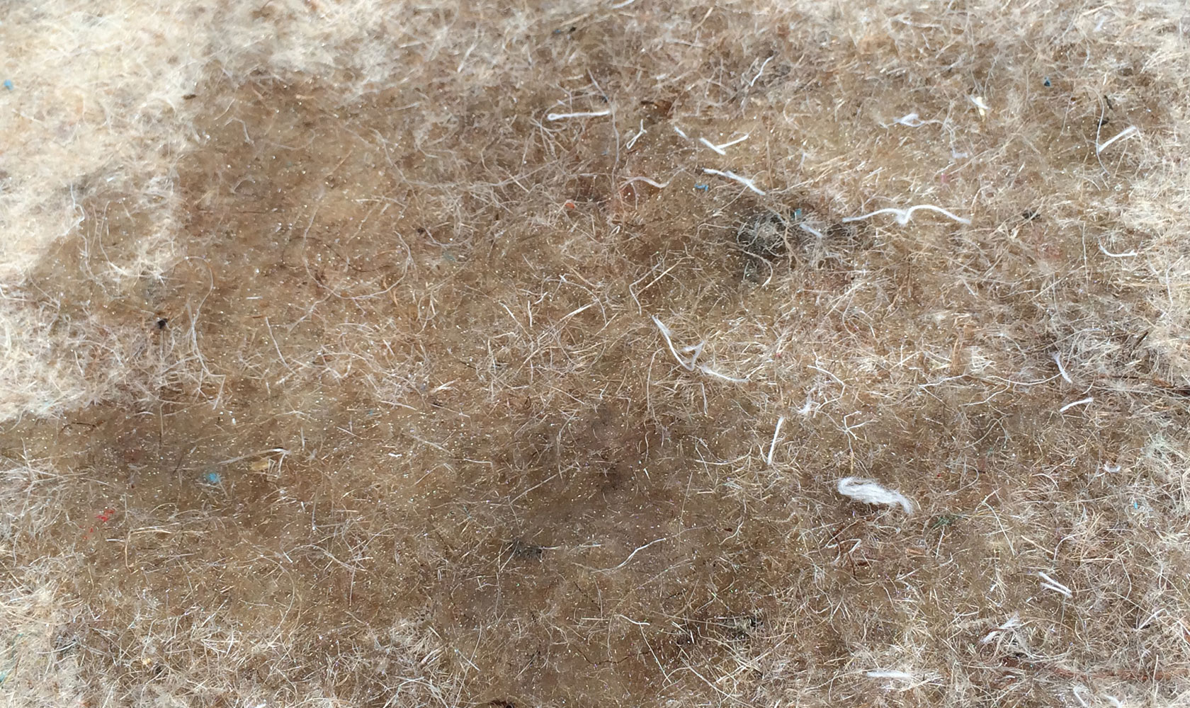 Biological Textiles - Cirtex